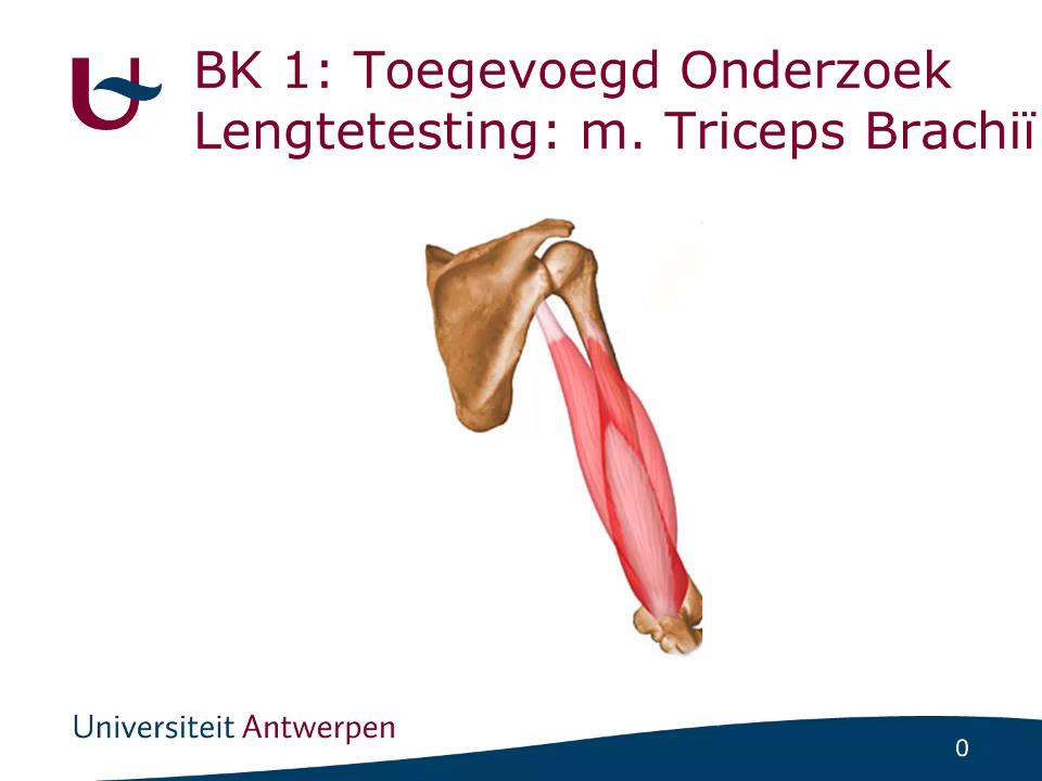 lengtetest m. Triceps Brachiï